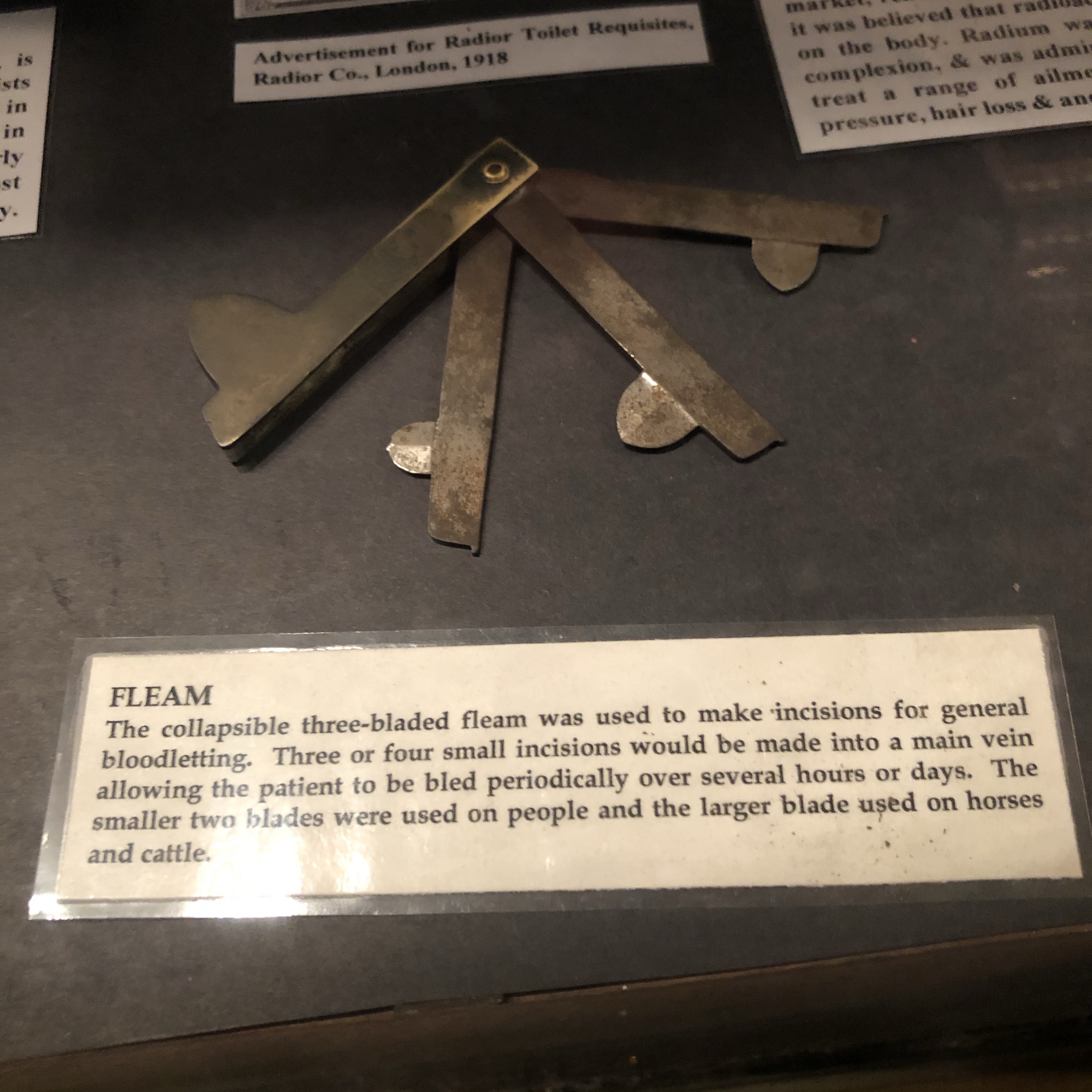 I love a good monosyllable III: Fleam – Zipf's Law